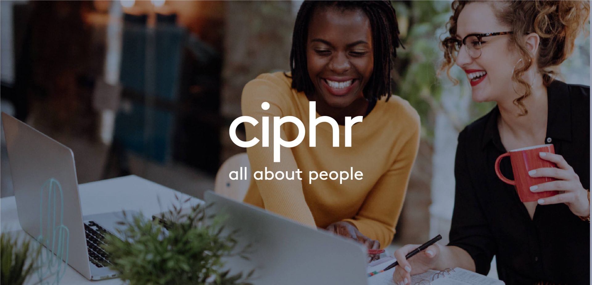 ANS hosts CIPHR’s globally popular HR platform | ANS