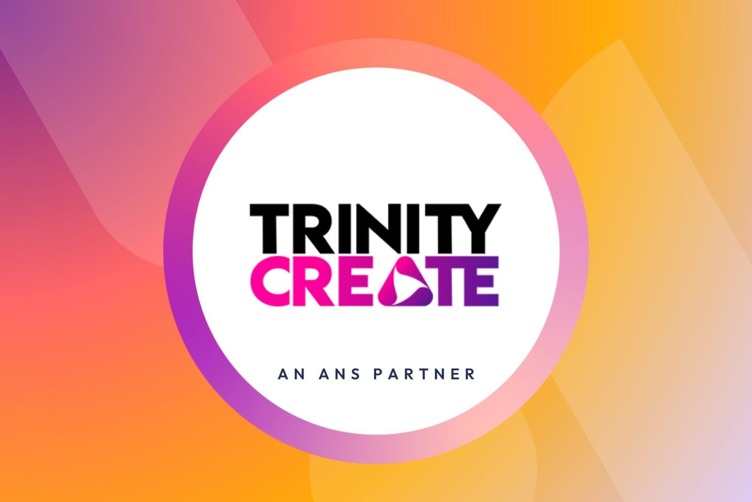 Get to know… Trinity Create | ANS