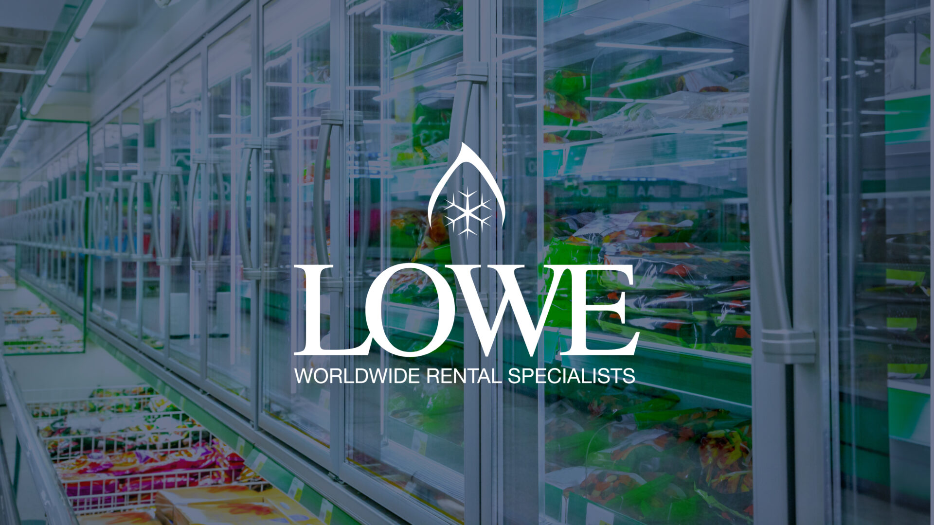 Lowe Corporation partners with ANS to build unified data platform | ANS